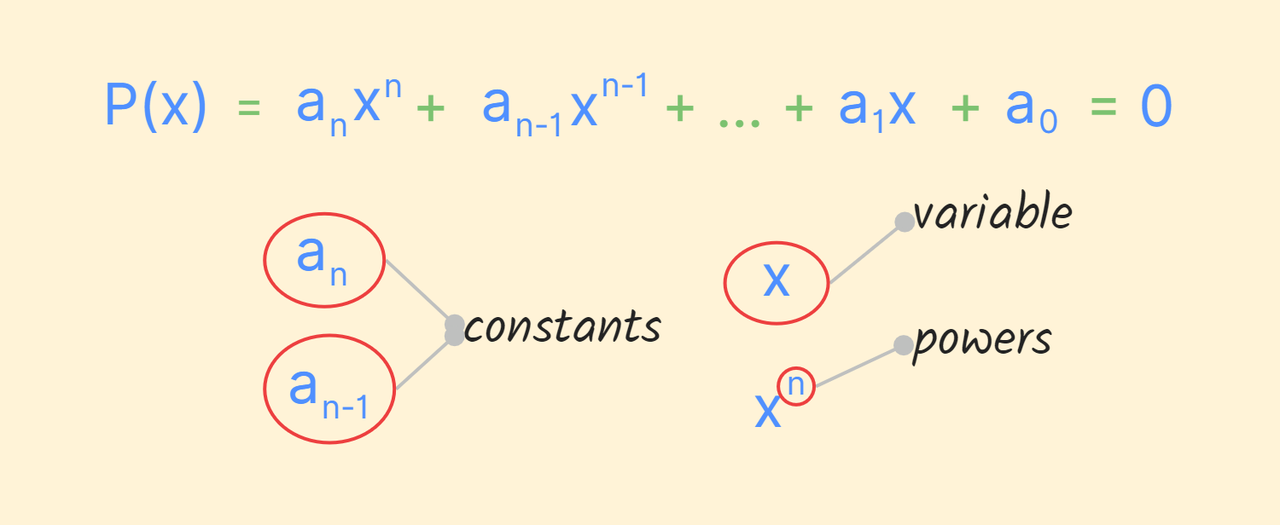 Cómo una Calculadora de Polinomios Puede Resolver Tus Ecuaciones ...